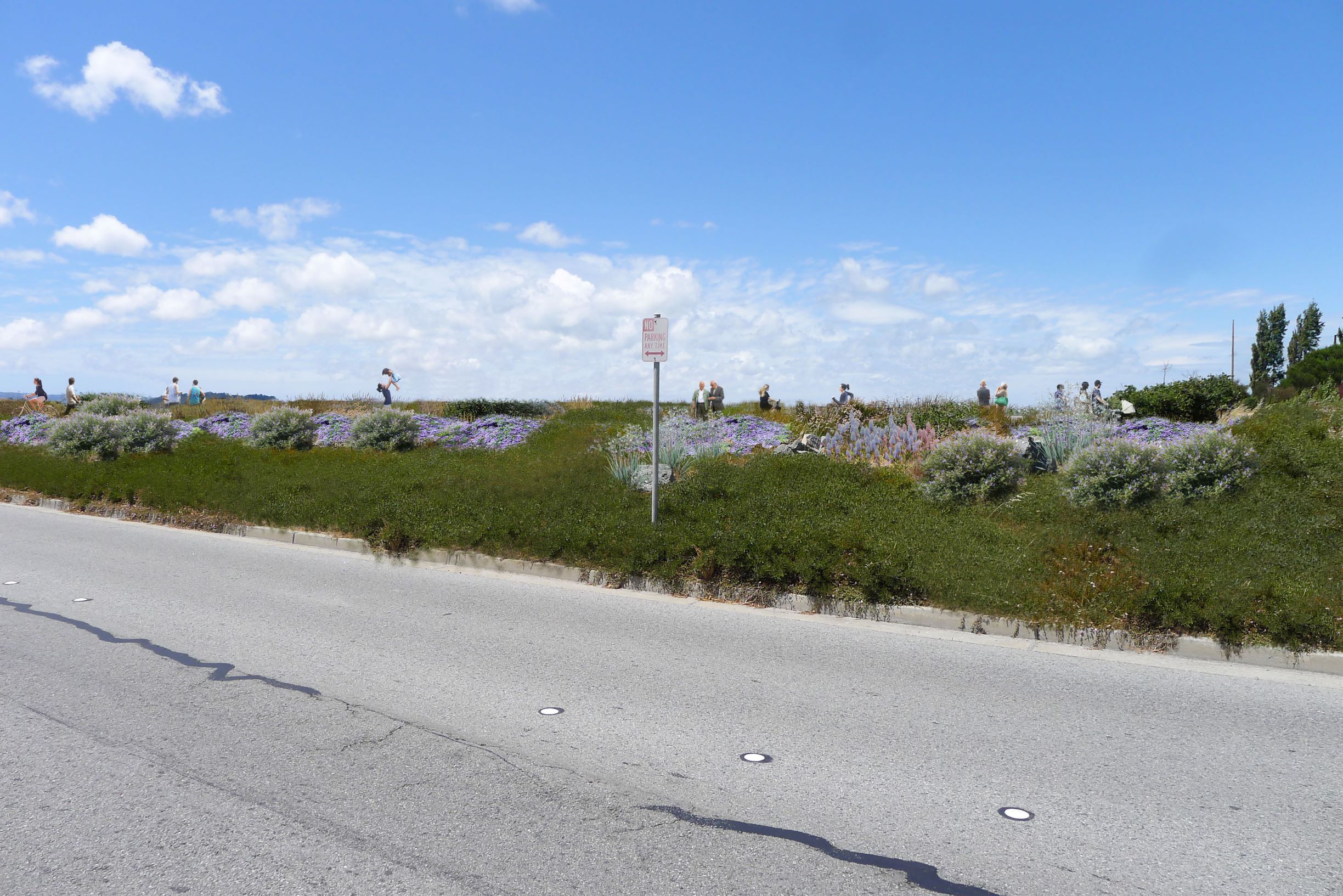 Levee Improvements Project: What will the improved levee look like ...